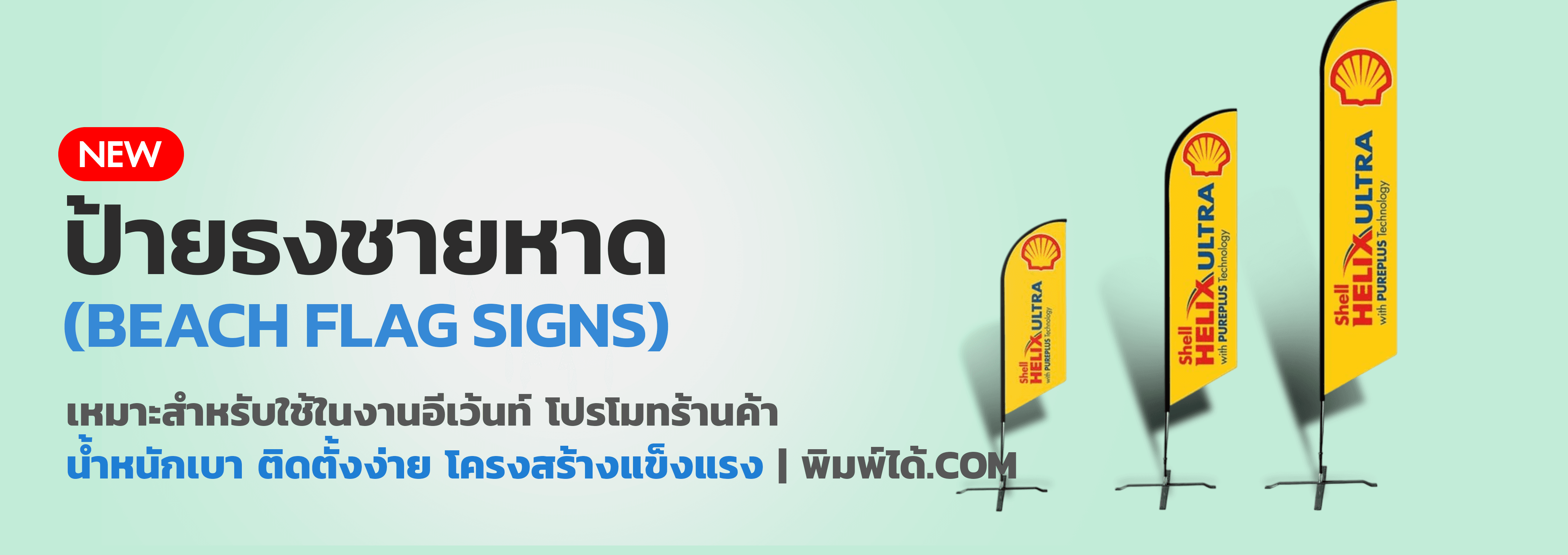 ป้ายธงชายหาด (Beach flag signs)